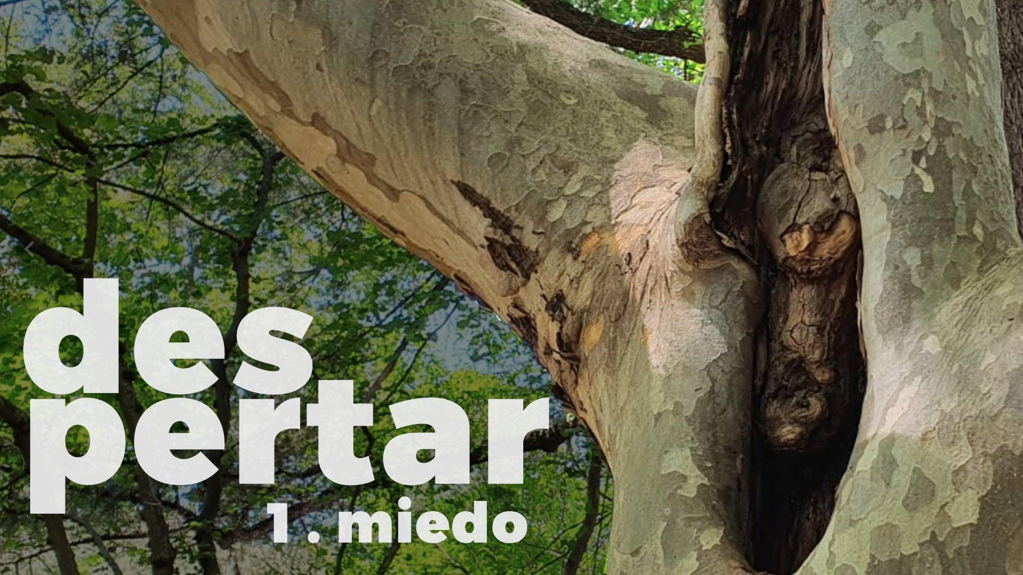 El despertar ( Parte 1): Miedo a salir de la matrix | Emocionaligencia